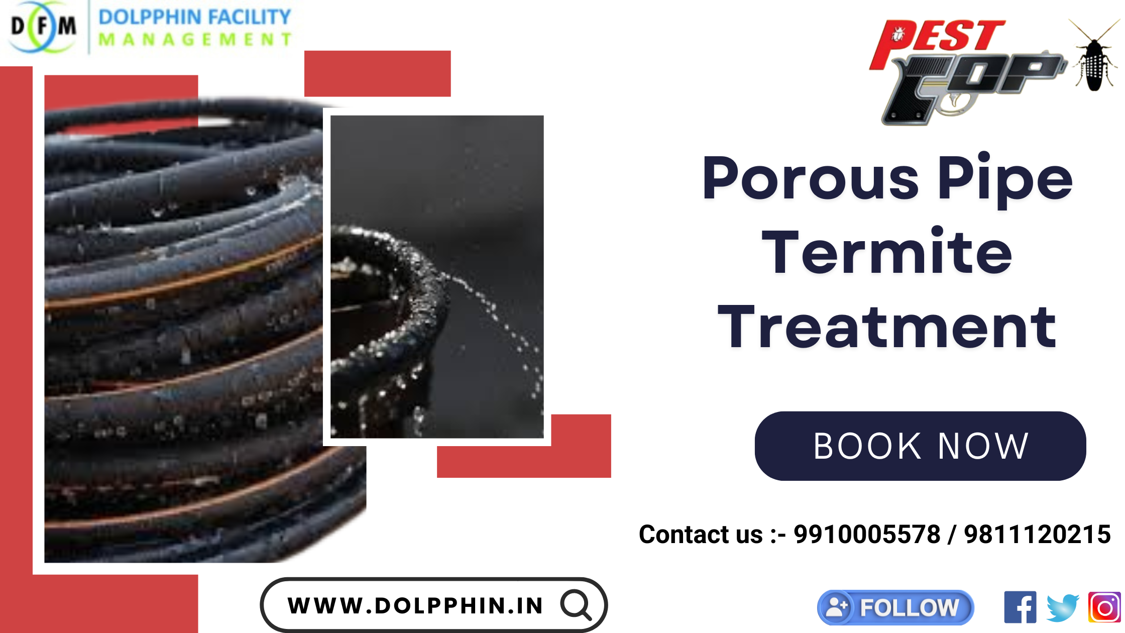 Effective Anti-Termite Treatment in Delhi NCR - Dolphin Blog