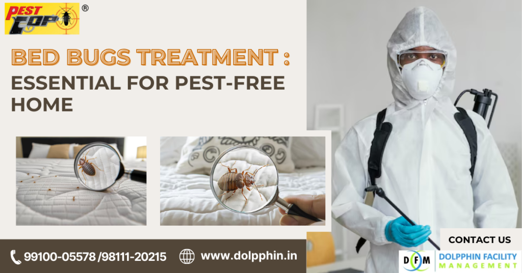 Why Professional Bed Bugs Treatment is Essential for a Pest-Free Home ...