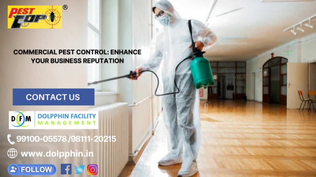 Commercial Pest Control: Enhance Your Business Reputation - Dolphin Blog