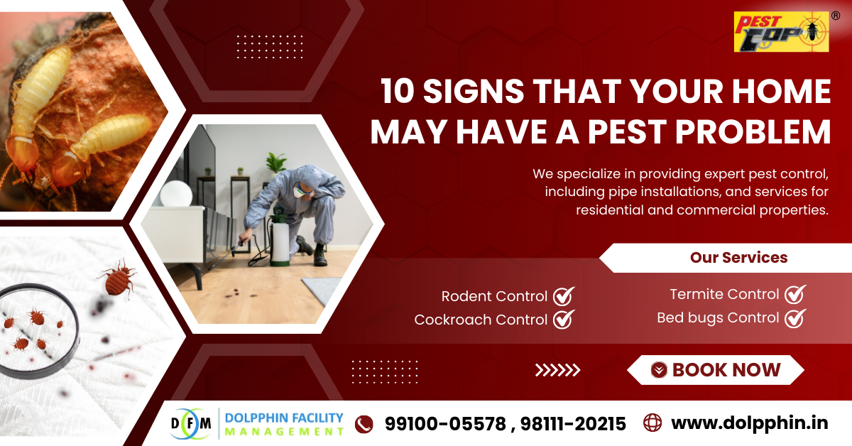 10 Signs That Your Home May Have a Pest Problem - Dolphin Blog